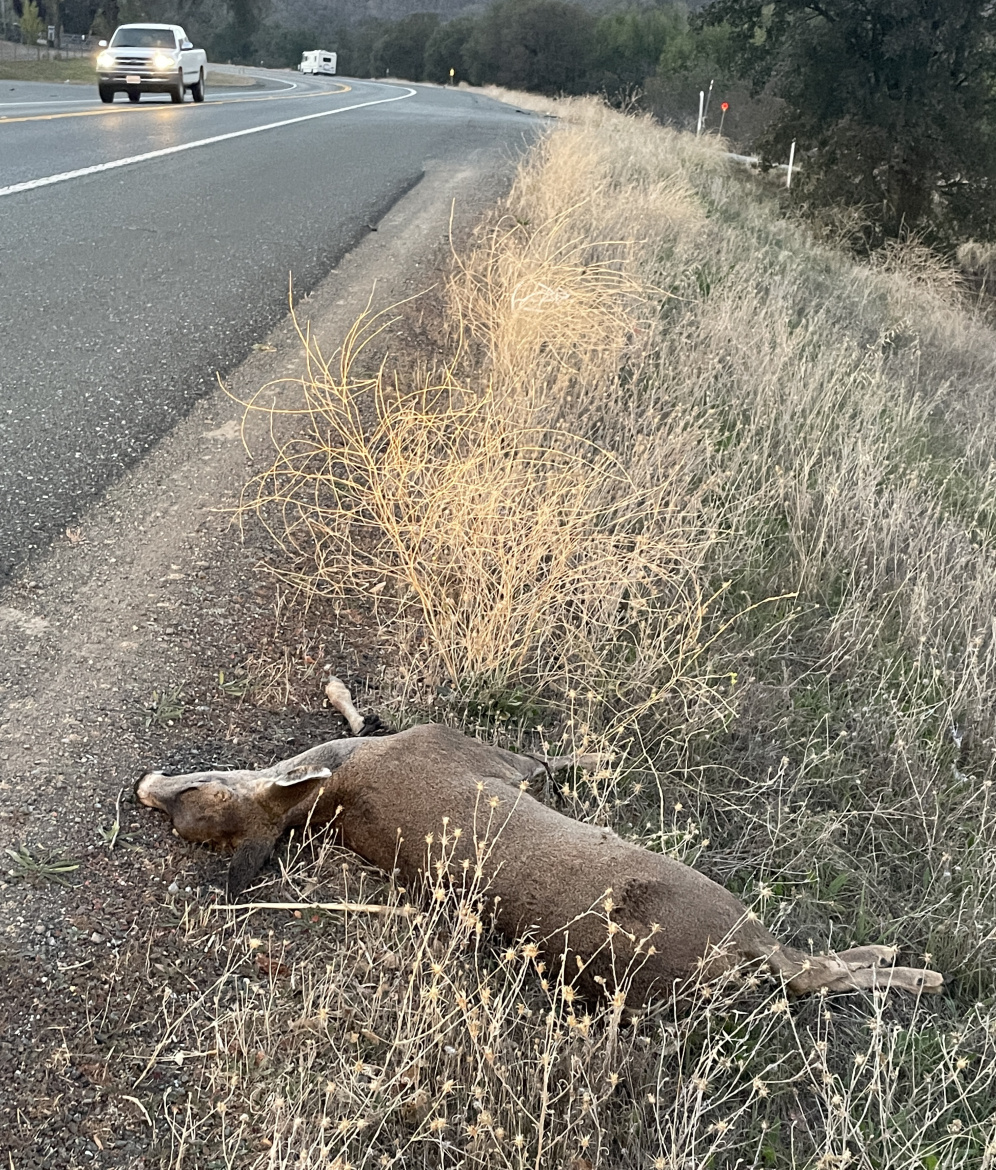 Observation ID: 88698 | CROS